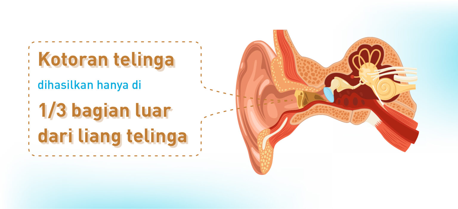 Rumah Sakit Santo Borromeus